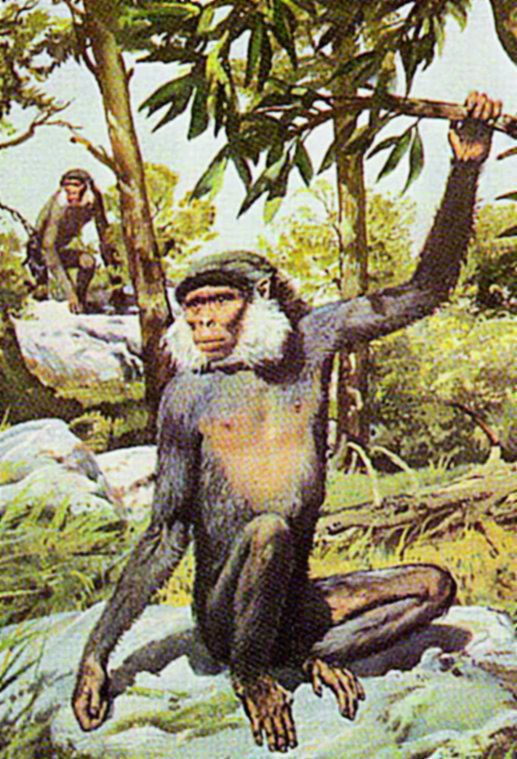 O mori, ktoré obmývalo ostrov Devínska Kobyla, ale aj o jeho čudesných ...